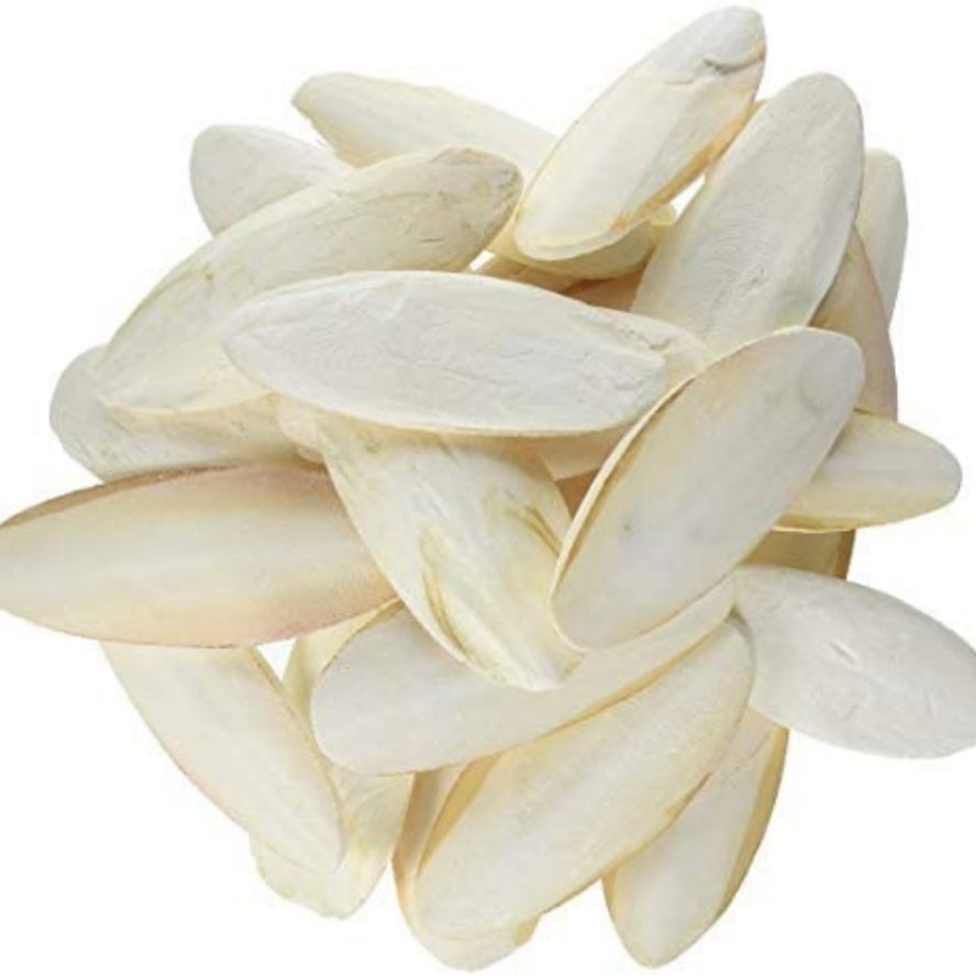 BULK Cuttle Bone Sm 3-5inches | Jungle Services