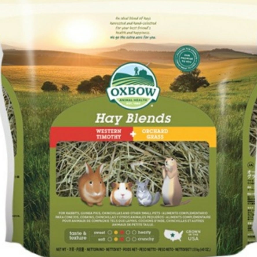 Oxbow Hay Blends, Western Timothy + Orchard Grass 40oz | Jungle Services