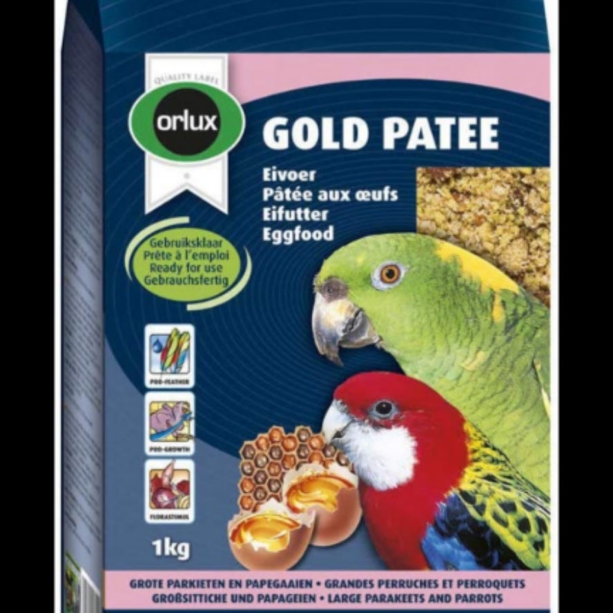 Gold Patee Eggfood, Big Parakeets & Parrots, 1kg | Jungle Services